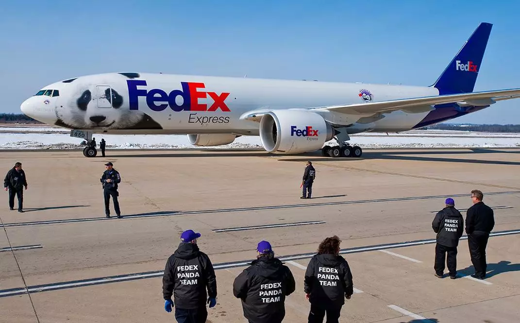 Hogyan FedEx egy óriáspandát 40606_16
