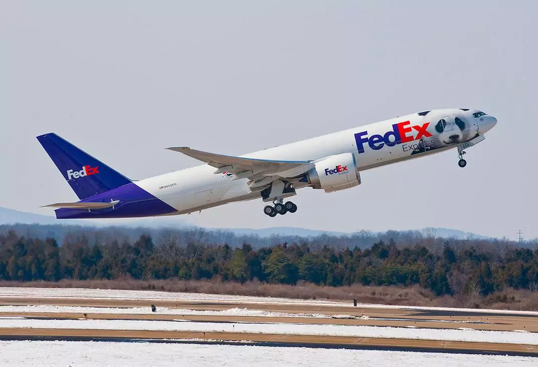 Как да FedEx гигантска панда 40606_17
