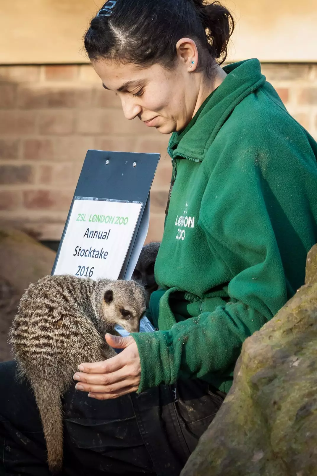 Iyo London Zoo Iri Kuita Kuverengera Kwayo Kwegore Svondo Rino 40668_6