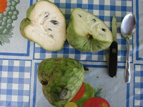 Cherimoas