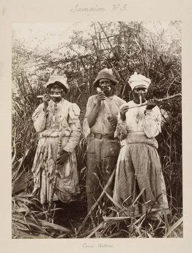 Travailleurs du sucre dans une plantation jamaïcaine