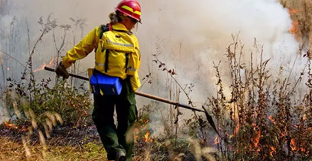 A Field Guide to the Rich; Wildland Firefighters