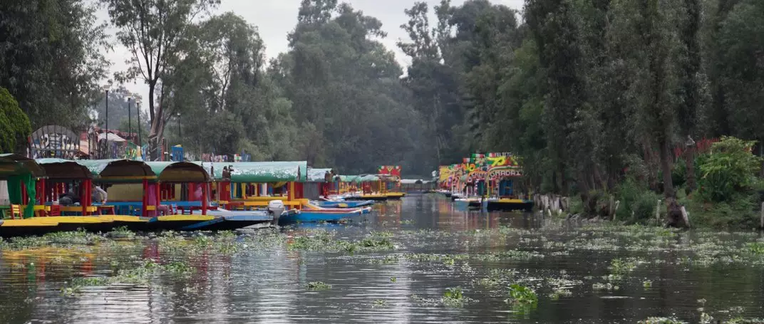 メキシコの有名な水上庭園が農業のルーツに戻る 41011_2