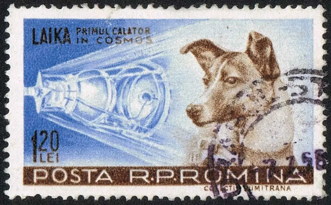 Laika Postsegel