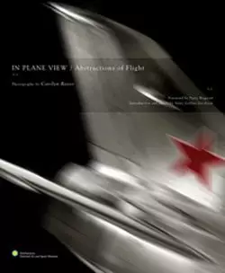 inplaneviewcover3size.jpg