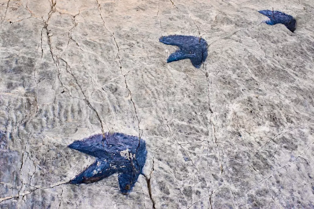 Dinosaurier-Fußspuren, La Rioja, Spanien