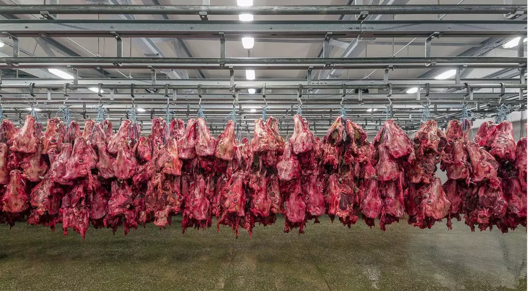 Kravské hlavy v závodě na zpracování hovězího masa. Foto: Oliver Heinl/Ano/Novarc/Corbis