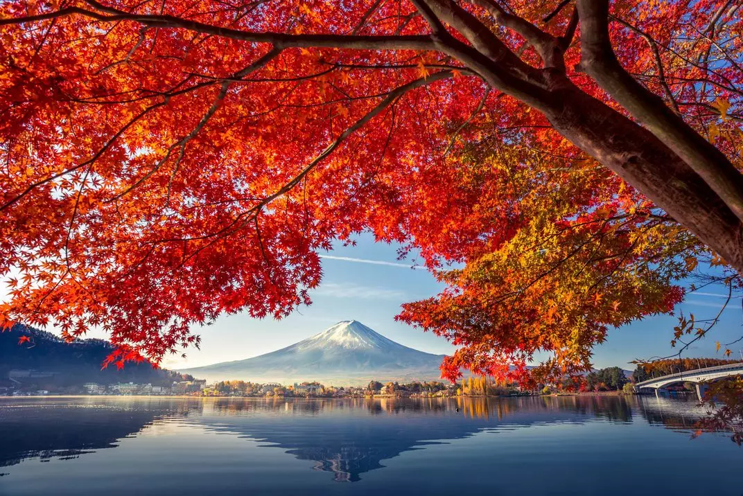 Kavagučiko ezers ar Fudži kalnu rudenī, Japānā
