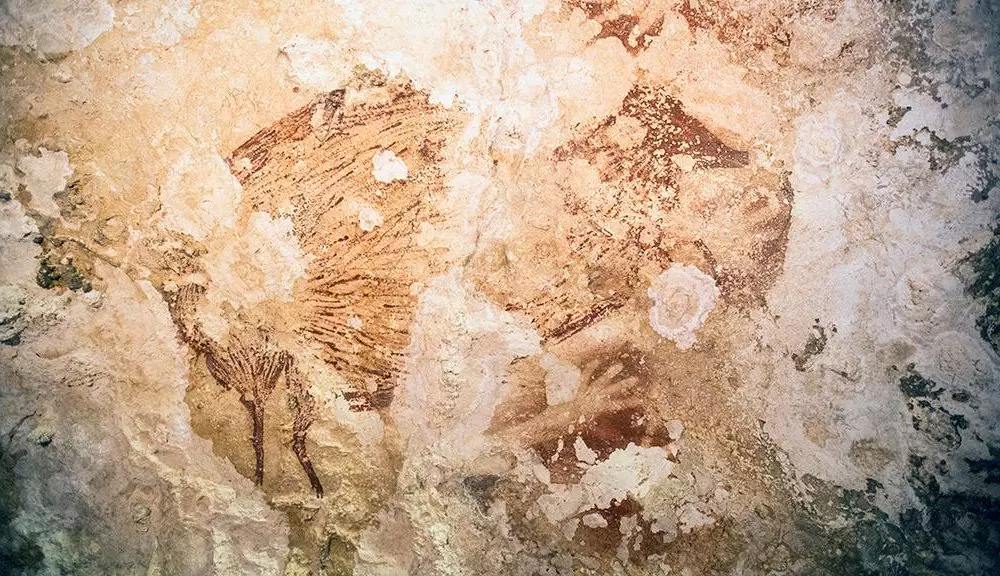 Rock (Arte) de Idades: pinturas rupestres indonésias têm 40.000 anos