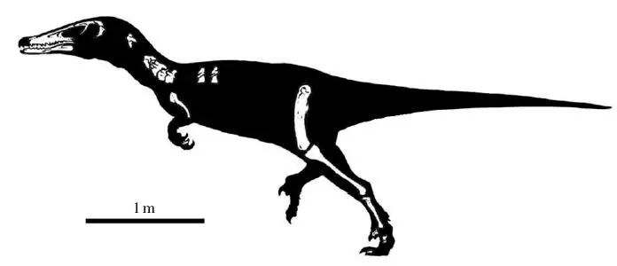 Austroraptor: en kæmpe, segl-kloret morder