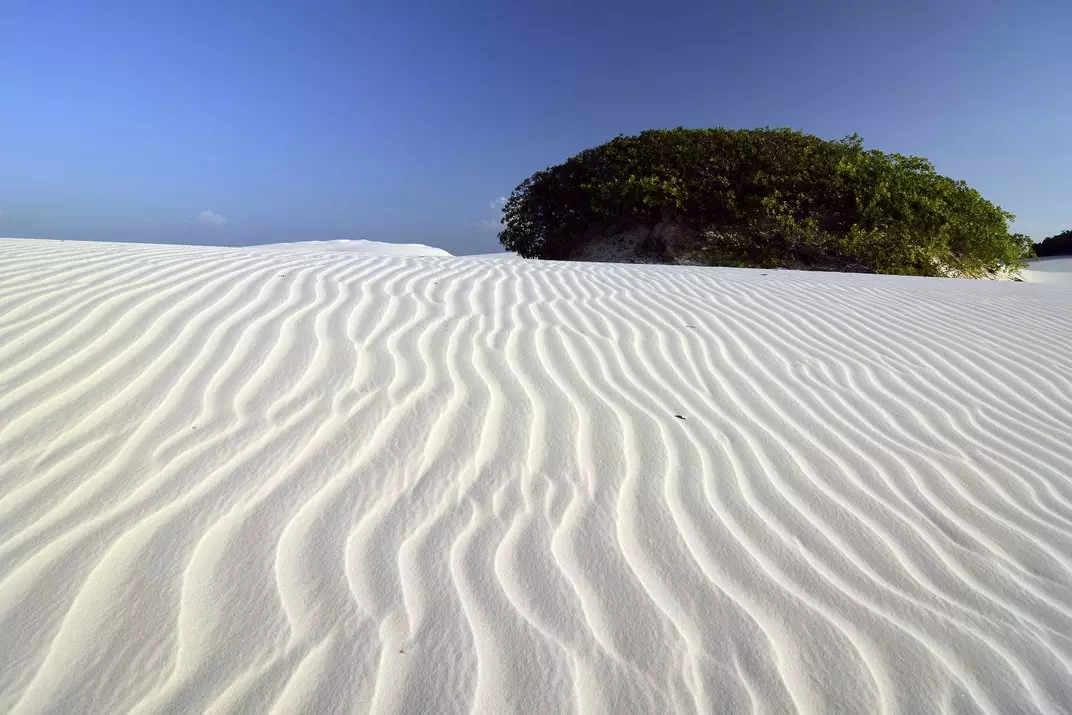 Как тысячи чистых голубых лагун оказались в этих бразильских песчаных дюнах? 44464_3