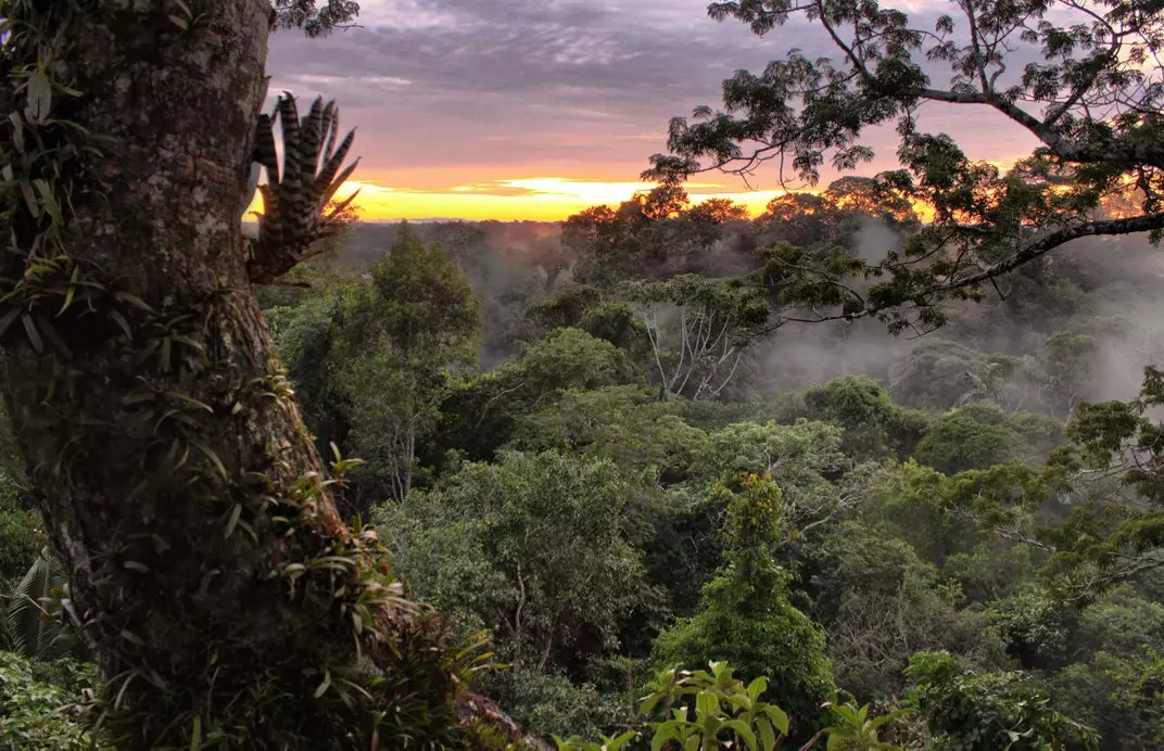 Taman iki ing Ekuador minangka Salah sawijining Papan Keanekaragaman Hayati ing Bumi 44712_11