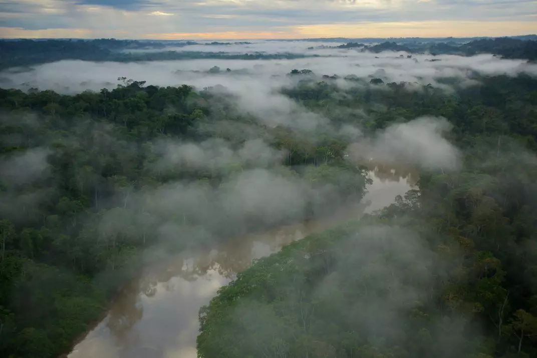 Taman iki ing Ekuador minangka Salah sawijining Papan Keanekaragaman Hayati ing Bumi 44712_9