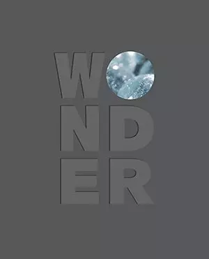 预览视频“Wonder”的缩略图
