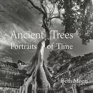 Vista previa en miniatura de Ancient Trees: Retratos del tiempo