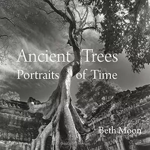 Voorskou-kleinkiekie vir Ancient Trees: Portraits of Time