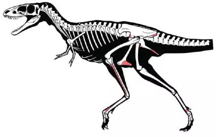 Pamusoro Dino Discoveries ye2009