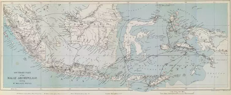 Уоллесның сәяхәтләрен күзәтеп, Малай архипелагының 1874 картасы. Табигать тарихы музее попечительләре, 2018,