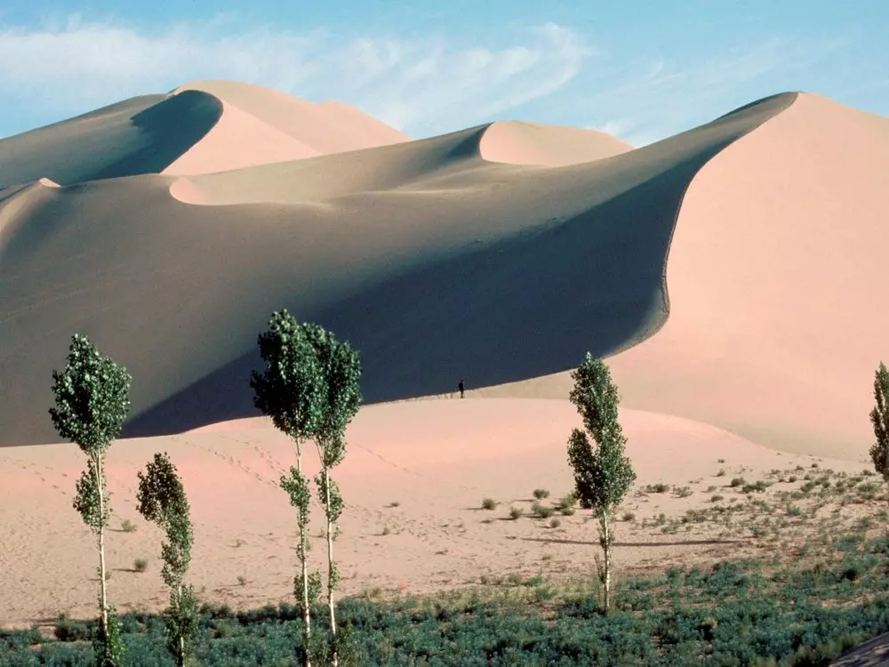 Hu nkauj dunes