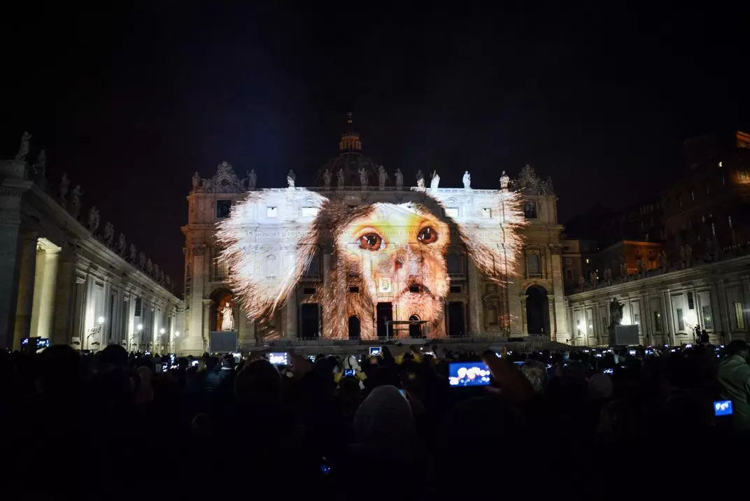 Vedeți Vaticanul luminând cu imagini de avertizare împotriva schimbărilor climatice 45800_6