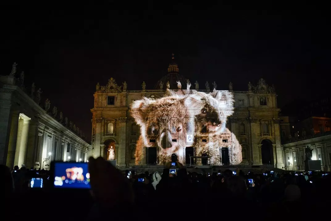 Vegeu el Vaticà il·luminat amb imatges d'advertència contra el canvi climàtic 45800_8