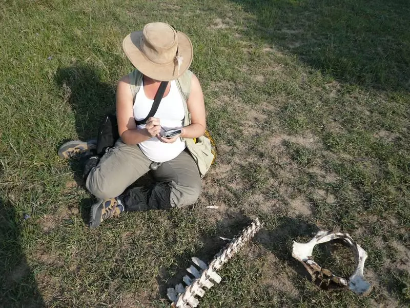 Les moltes maneres en què les dones queden fora de la paleontologia