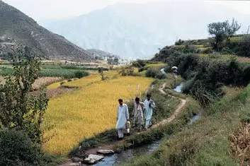 Isabelo Afghanistan 4631_1