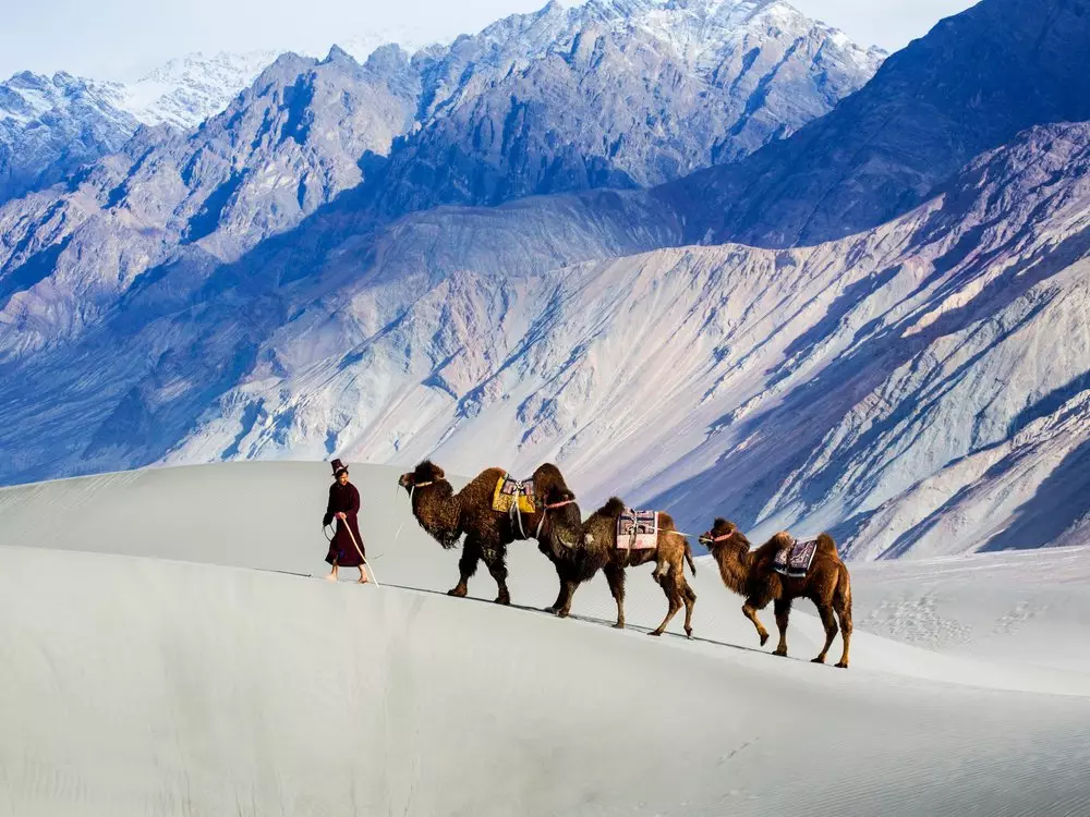 Silk Road