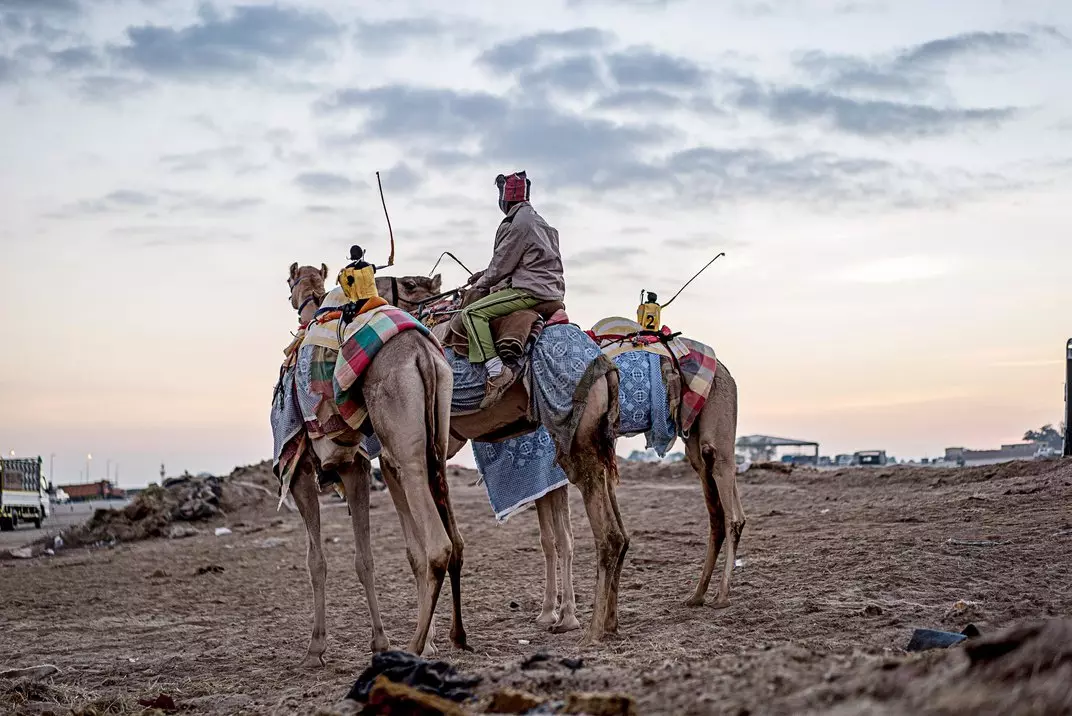 የሮቦት አመጽ መቃረቡን የሚያመለክት የቅርብ ጊዜ ምልክት? የግመል እሽቅድምድም 46672_2