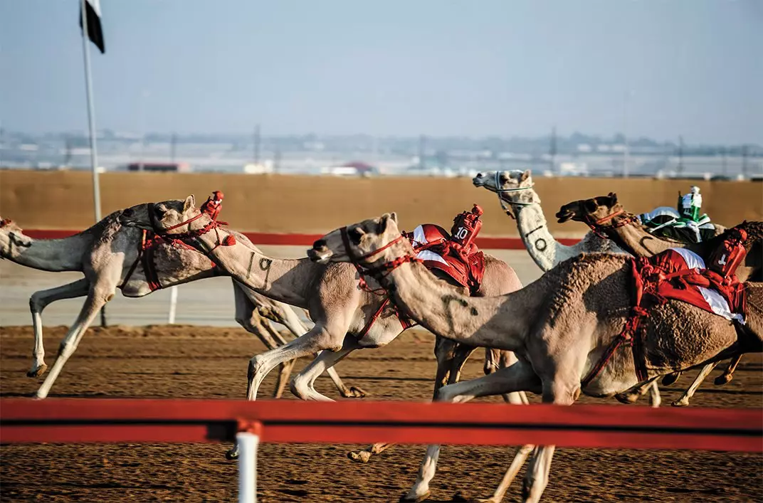 Dat lescht Schëld datt de Roboter Opstand no ass? Camel Racing 46672_3