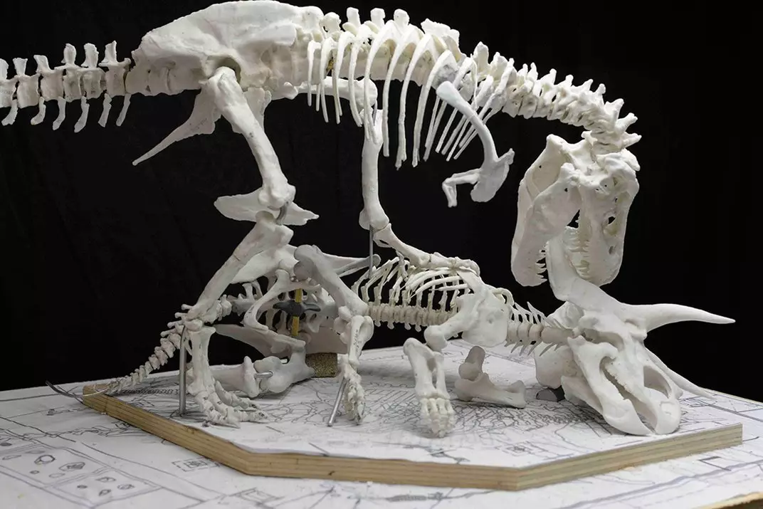 Wenn T. Rex in der New Dino Hall auf Triceratops trifft, wird es eine gewalttätige Angelegenheit 46751_1