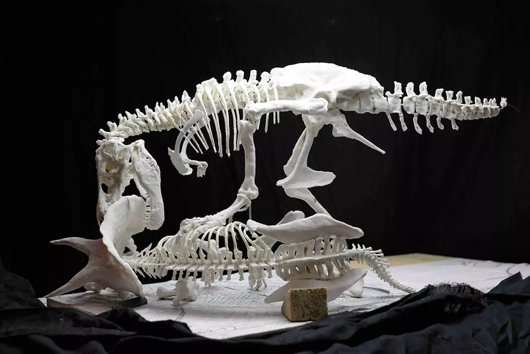 Когато Т. Рекс срещне трицератопс в новата зала за динозаври, това ще бъде насилствена афера 46751_2