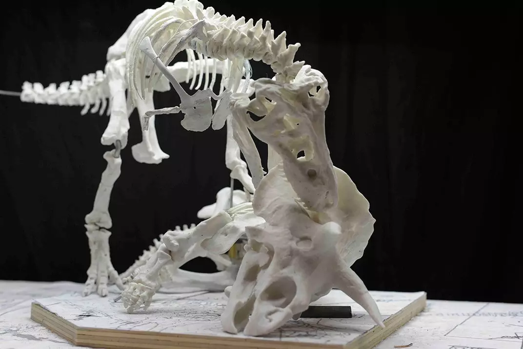 Når T. Rex møter Triceratops i den nye Dino-hallen, blir det en voldelig affære 46751_3