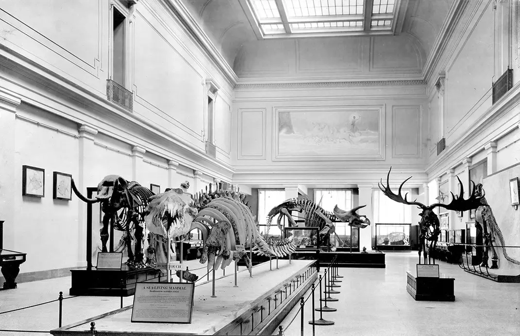 Dvorana izumrlih pošasti, Smithsonian, 1911