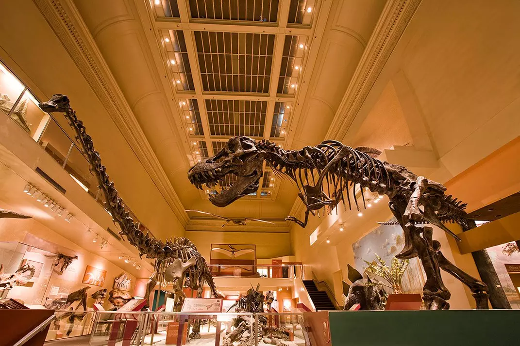 Hall of Dinosaurs, 2012