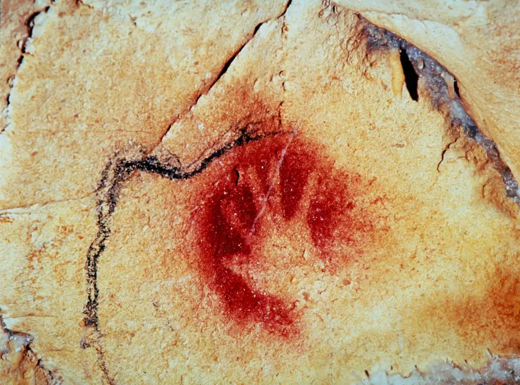 අවසාන වශයෙන්, Beauty of France's Chauvet Cave එහි මහා ප්‍රසිද්ධ මංගල දර්ශනය කරයි 46807_2