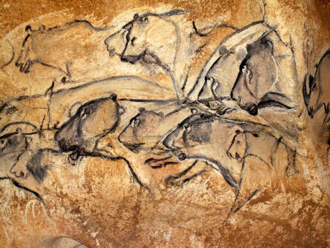 Pakupedzisira, Runako rweChauvet Cave yeFrance Inoita Yayo Yakakura Yeruzhinji Debut 46807_8