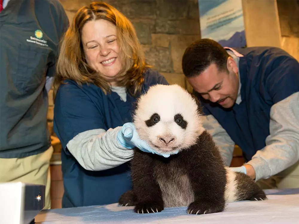 Nicole en Bao Bao 2