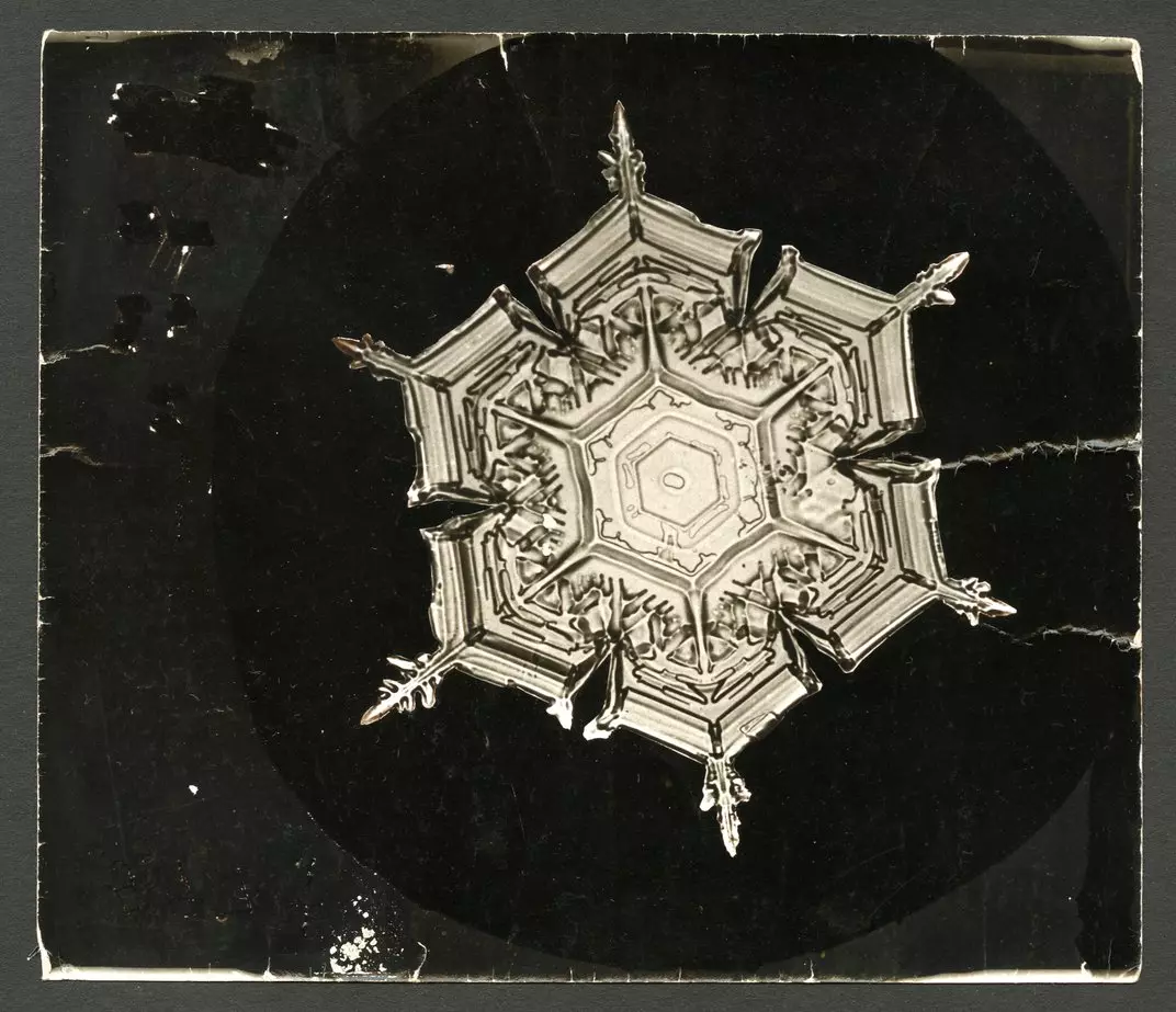 The Man Who Revealed the Hidden Structure of Falling Snowflakes (La Viro Kiu Malkaŝis la Kaŝitan Strukturon de Falantaj Neĝeroj). 4693_12