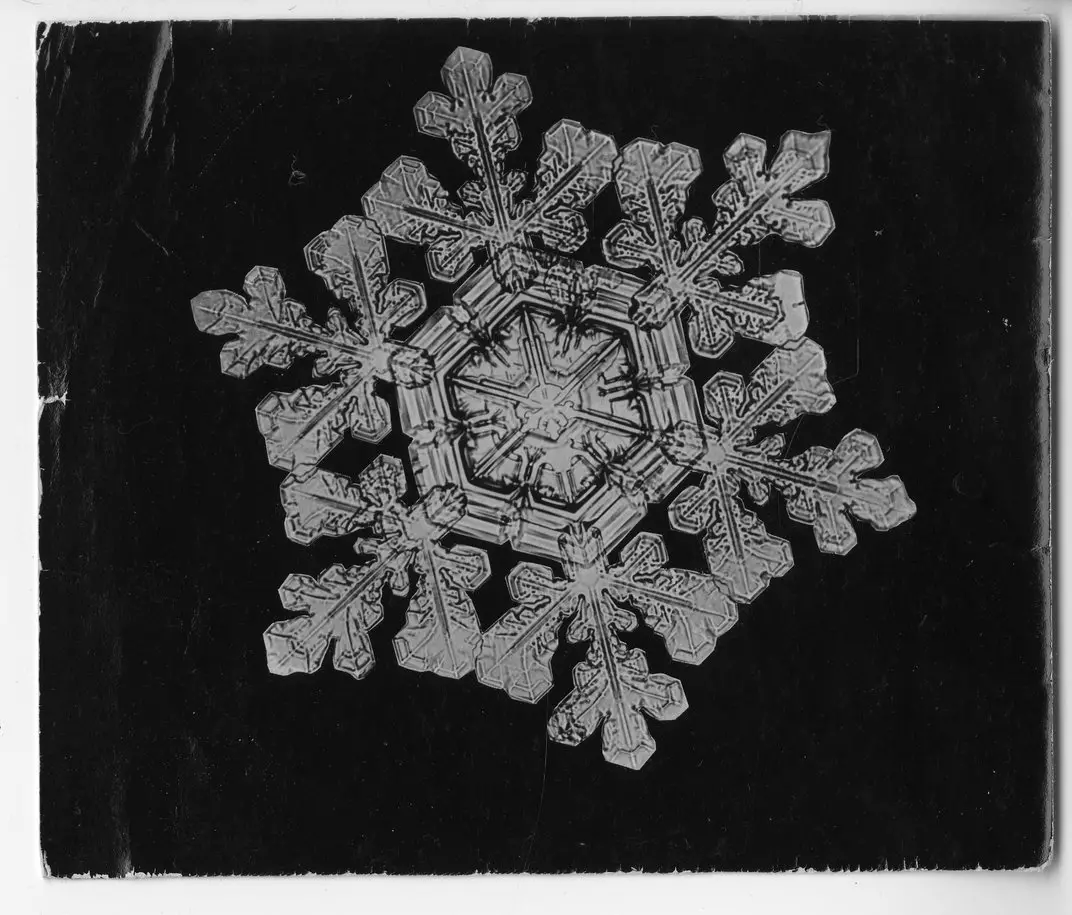 The Man Who Revealed the Hidden Structure of Falling Snowflakes (La Viro Kiu Malkaŝis la Kaŝitan Strukturon de Falantaj Neĝeroj). 4693_2
