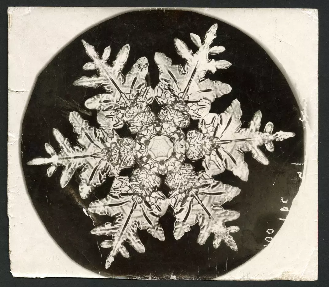 The Man Who Revealed the Hidden Structure of Falling Snowflakes (La Viro Kiu Malkaŝis la Kaŝitan Strukturon de Falantaj Neĝeroj). 4693_7