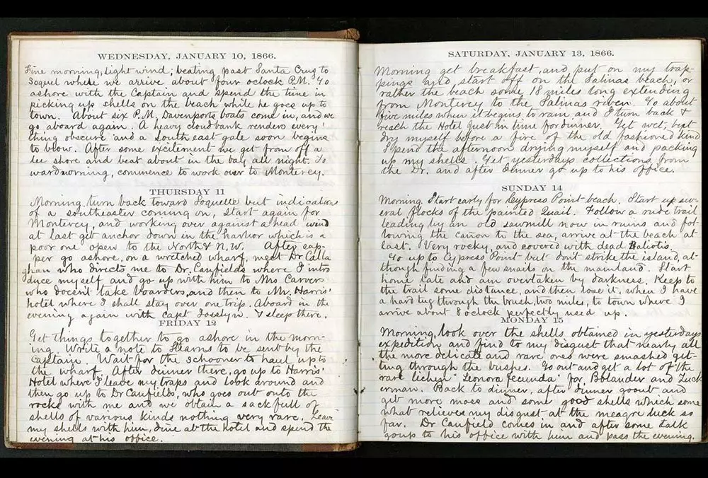Stranica dnevnika Williama Dalla