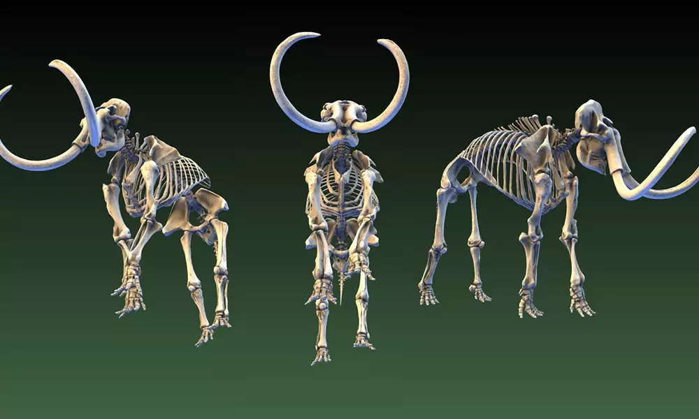 Skeleti i mamuthit