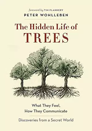 Vista previa en miniatura de 'La vida oculta de los árboles: lo que sienten, cómo se comunican: descubrimientos de un mundo secreto (Los misterios de la naturaleza, 1)