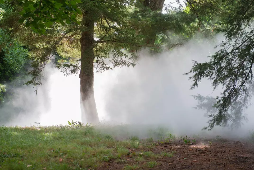Скулптури от мъгла обгръщат историческите паркове на Бостън 47377_2