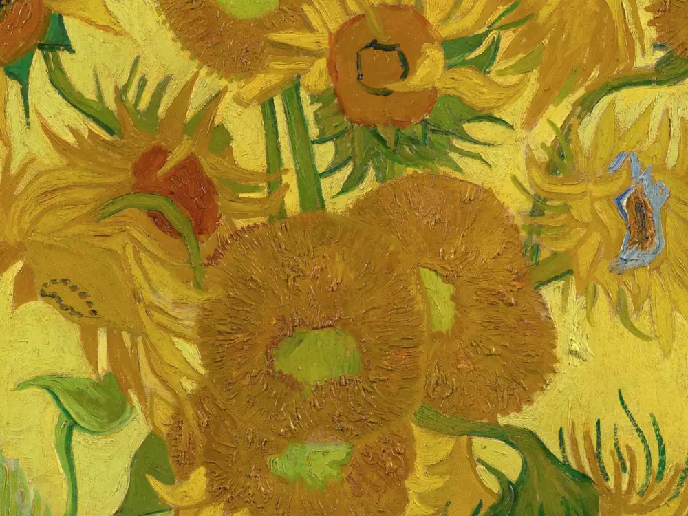 Sunflowers