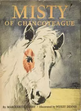 Câu chuyện có thật về Misty of Chincoteague, Pony Who Stare Down a Devastating Nor'Easter