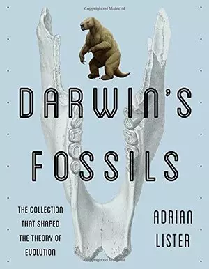 Anteprima della miniatura per "I fossili di Darwin: la collezione che ha plasmato la teoria dell'evoluzione