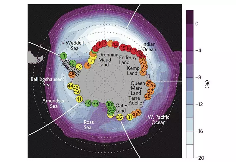 Mapa da Colônia de Pinguins