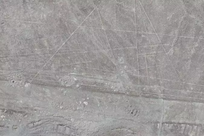 Condor Nazca linijos.jpg